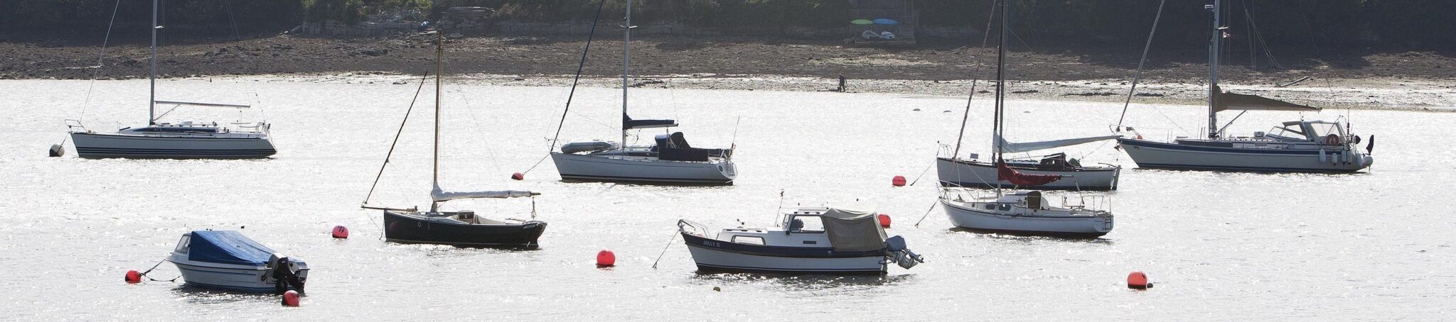 Home - Falmouth Boat Co.